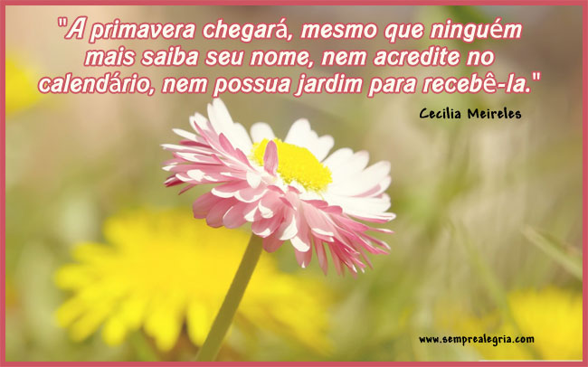 Primavera - Sempre AlegriaSempre Alegria